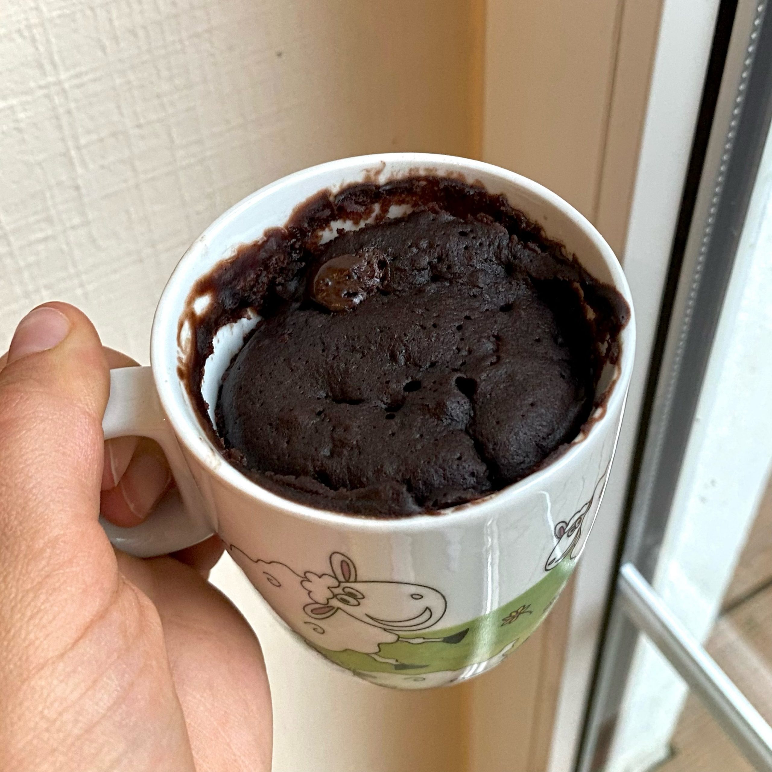 Zero Point Chocolate Mug Cake - Recipes